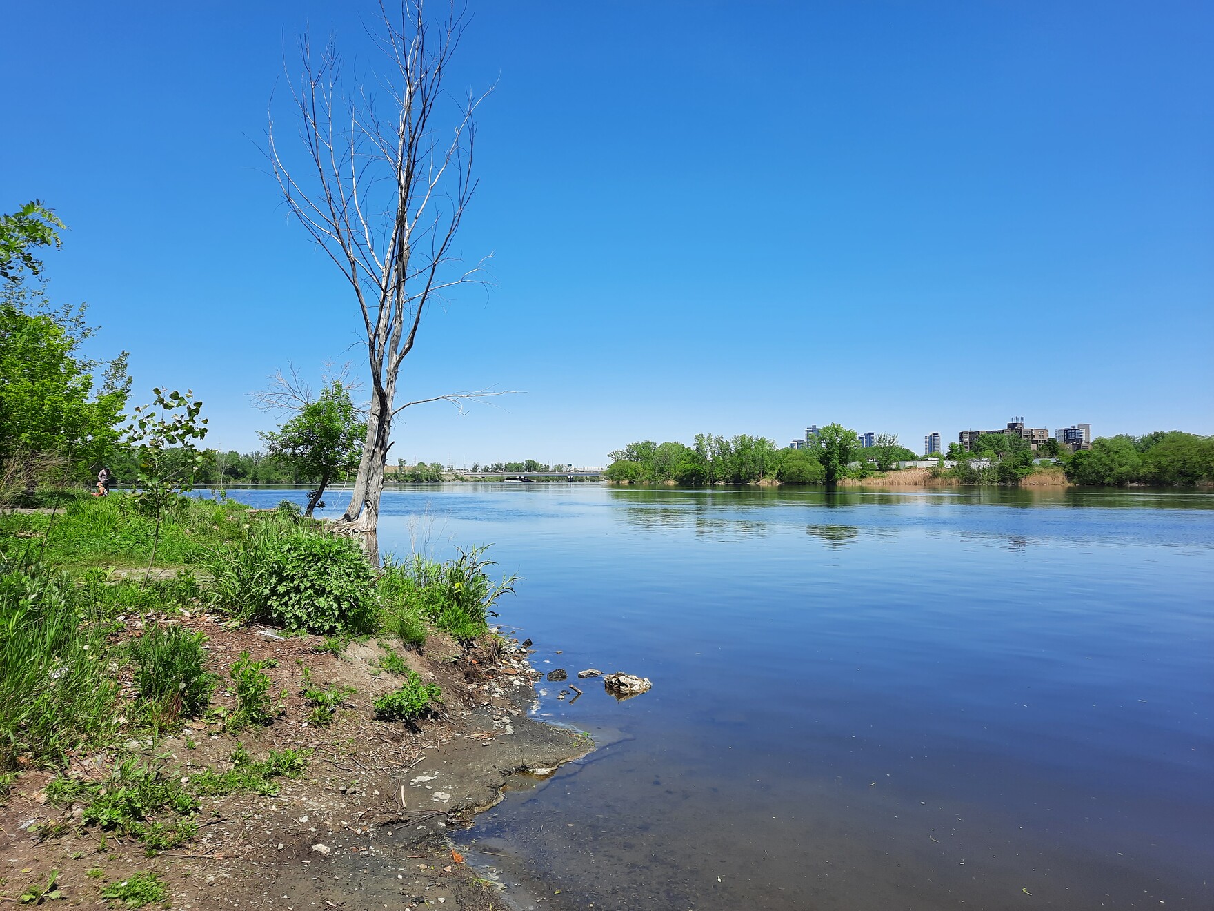 Plage urbaine de Verdun - Parcs et places publiques - Agora Montréal