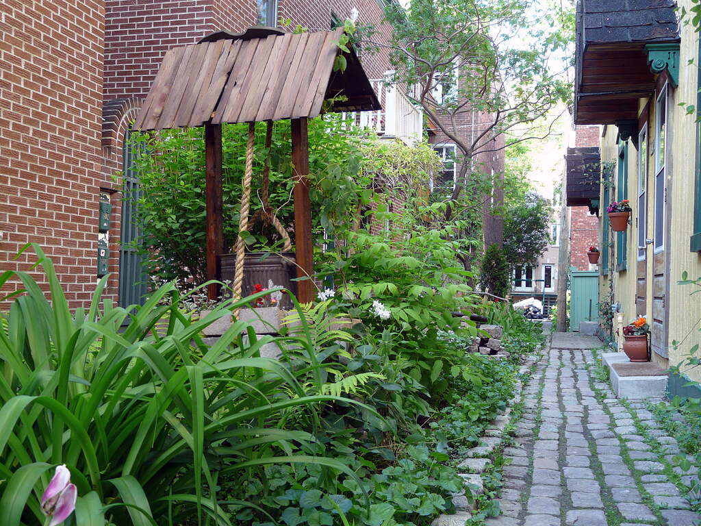 Ruelles vertes et blanches - Urbanisme - Agora Montréal