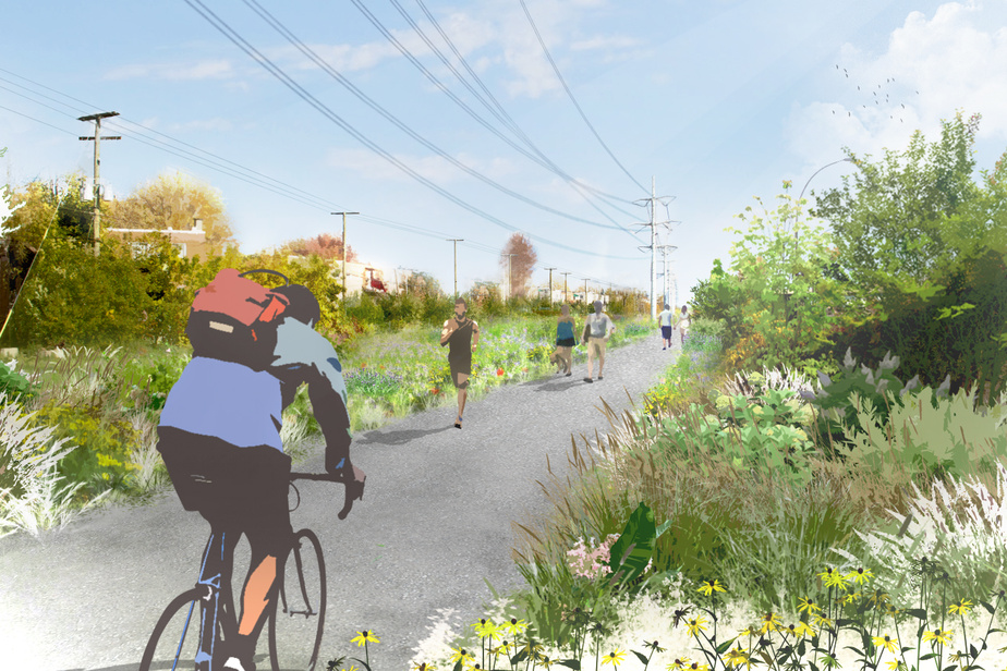 Corridor vert du parc-nature du Bois-de-Saraguay au parc Angrignon ...